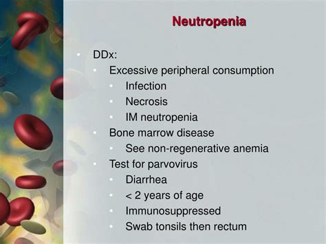 Ppt Practical Hematology Leukocytosis Powerpoint Presentation Id 270034