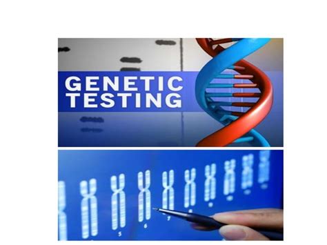 Determinants Of Health Lecture Ppt