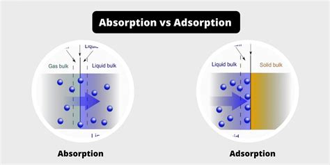 Adsorption And Absorption Save For Later 🚨 Stat Tuned For More 🔥