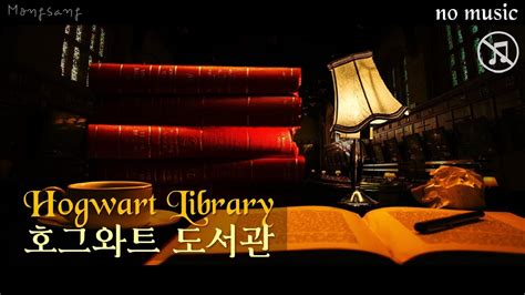 Asmr 시험기간 호그와트 도서관 📜 해리포터 입체음향 Feat 기숙사별 공부를 대하는 자세 Youtube