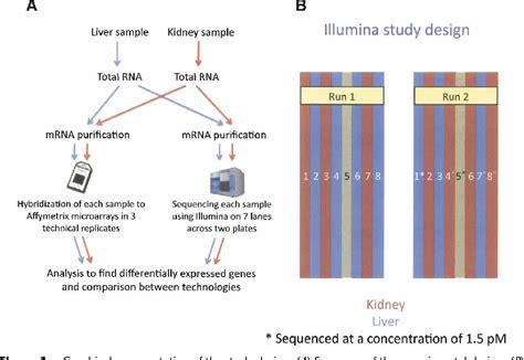 Figure 1 From Comparison With Gene Expression Arrays Rna Seq An