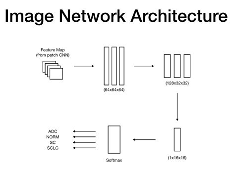 Lung Cancer Histology Image Classification With Convolutional Neural Network Level 2 Image