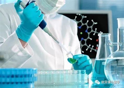 欧洲医学博士的项目概况 知乎