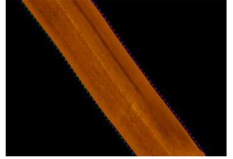an image containing stripes with regularized low rank representation [7