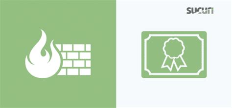 Ssl Vs Website Security Wordpress Sanity