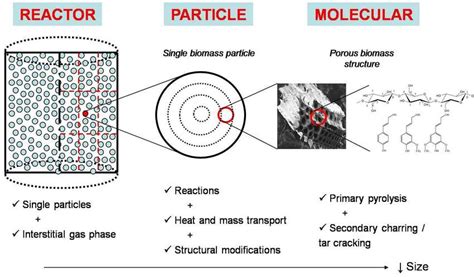 Multi Scale Modelling For The Pyrolysis Of Biomass Download Scientific Diagram