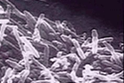 Dna Detector