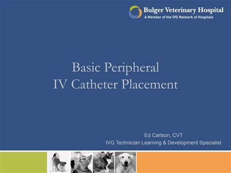 Basic Iv Catheter Placement Ppt