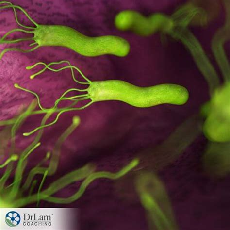 H Pylori How To Test For It And How To Address It
