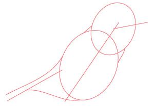 How To Draw A Realistic Bird Like A Pro Step By Step Guide