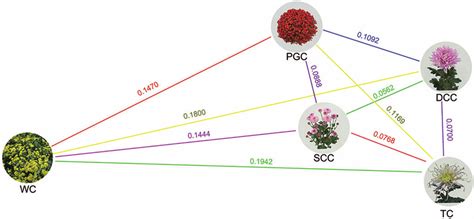 Pairwise F St Values Between The Five Cultivated Types Based On