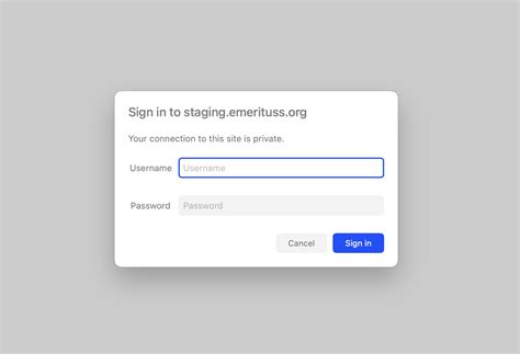 Fastify I Want To Add A Basic Auth To Access Swagger Url In Nestjs