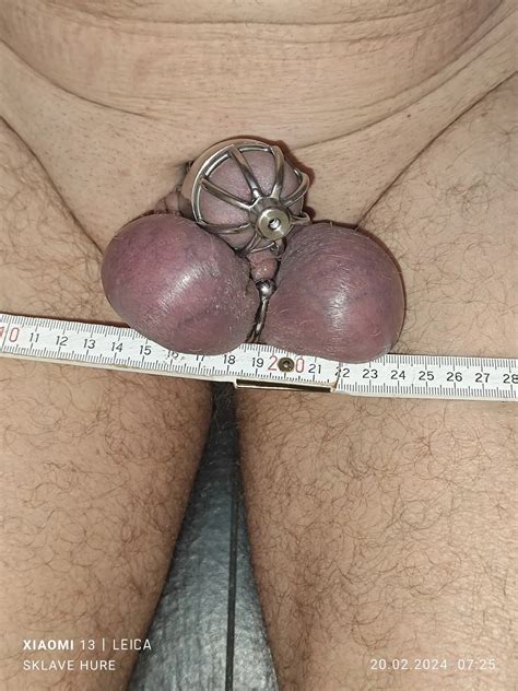 Daily Duty Of The Naked Slave Bulging Eggs Meter Stick Pics XHamster