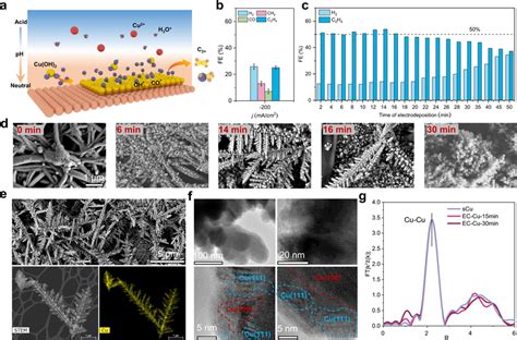 In Situ Electrodeposition In Acidic Co2r A Schematic Of Cuohx Download Scientific Diagram