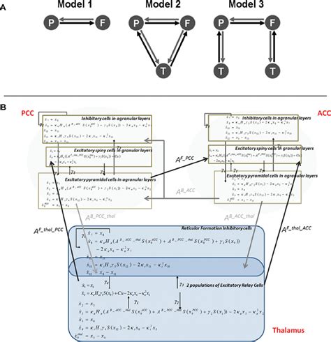 A Model Specification The Three Dcms Used For Bayesian Model