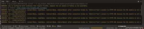 Warning Pip Is Configured With Locations That Require Tlsssl However