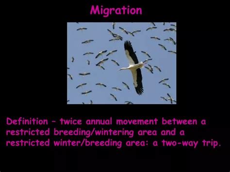 PPT Migration PowerPoint Presentation Free Download ID