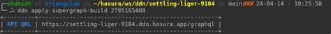 Preview Deployments Transforming Api Development