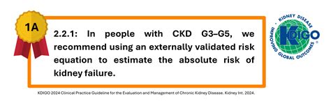 The Kdigo Ckd 2024 Guidelines Part 1 Evaluation And Risk Stratification — Nephjc