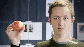 Apple S Find And Share On Giphy