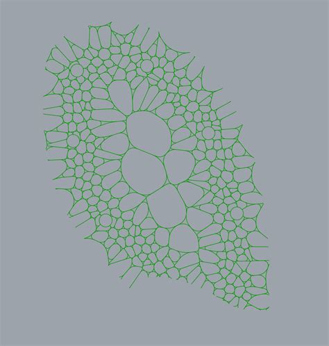 Creating A Continuous Curve Out Of A Voronoi Network Grasshopper Mcneel Forum