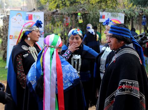 Comunidad Mapuche Desarrolló Sistema De Producción Orgánica De Hierbas