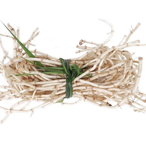 鱼腥图片鱼图片大山谷图库