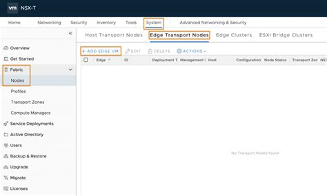 Nsx T Lab Edge Node Vdives