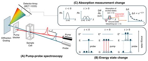 Efficient Time Sampling Strategy For Transient Absorption Spectroscopy