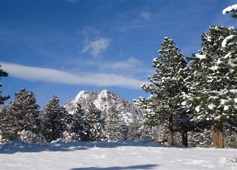 Free Images Tree Path Wilderness Snow Winter Sunshine Trail