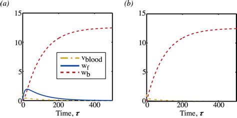 plasma input function and free and bound tracer concentrations computed