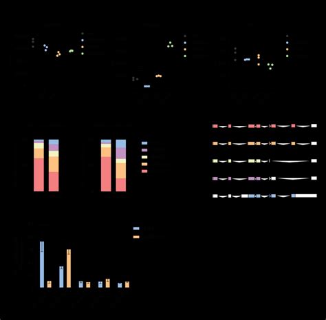Splicing Events Analysis Reveals An Irf3 Isoform Switch Download Scientific Diagram