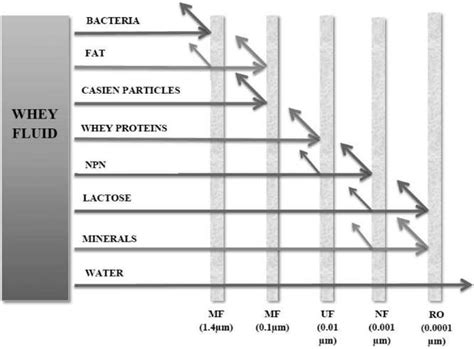 1 A Systematic Diagram Of Whey Processing Using Membrane Technology