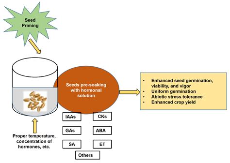 Seed Priming With Phytohormones An Effective Approach For The Mitigation Of Abiotic Stress