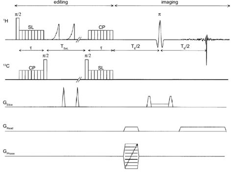 Pulse Sequence For Indirect 13 C Imaging In Spin Echo Mode Each Of
