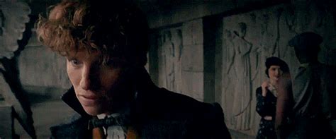 Tina Loves Newt Newtvsniffler Bonus Newt Tina Entering The