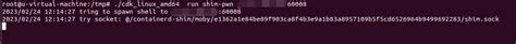 Docker逃逸总结，从零基础到精通，收藏这篇就够了！docker Procfs Csdn博客