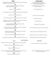 Guide On DNA Extraction Procedure And Analysis Course Hero