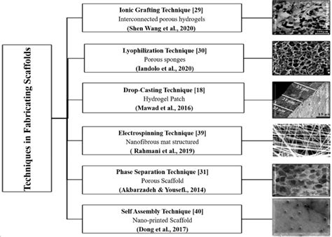 Techniques In Fabricating Scaffolds And Their Respective Scanning Download Scientific Diagram
