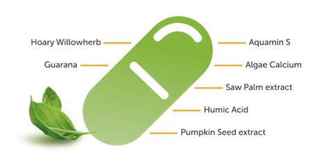 Prostanova 7 Revita Egészségközpont