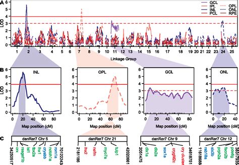 Figure 3 From Quantitative Genetic Analysis Of Retinal Degeneration In