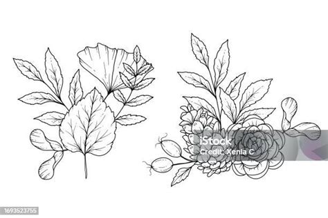 가을 꽃꽂이 윤곽선 가을 단풍 라인 아트 일러스트레이션 윤곽선 나뭇잎 배열 손으로 그린 그림 나뭇잎이 있는 가을 색칠 페이지 추수 감사절 준비 흰색으로 분리된 추수감사절