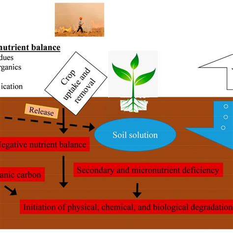 A conceptual framework for negative nutrient balances and nutrient mining. | Download Scientific ...