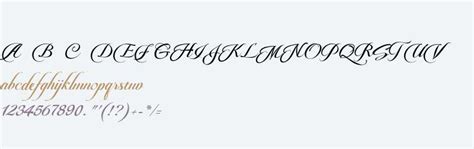 Mt Script Fonts Free Download Onlinewebfontscom