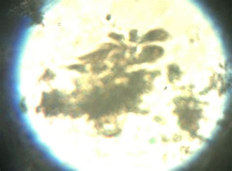 More On Thermal Relaxation Times Mike Murphys Blog
