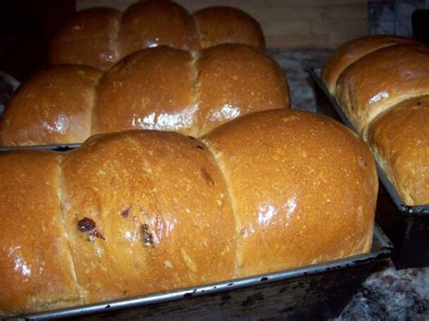 Newfoundland Molasses Raisin Bread A Taste Of Tradition Chef Reader