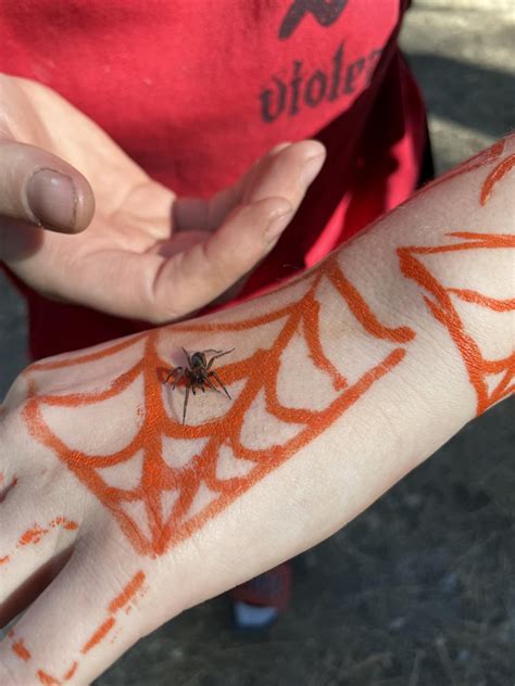 Bugs From Camping Trip Oregon Rwhatsthisbug