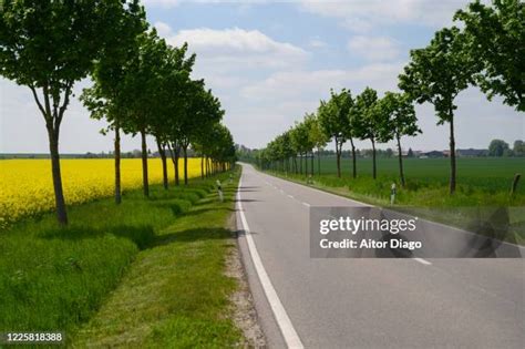 Exploding Trees Photos And Premium High Res Pictures Getty Images