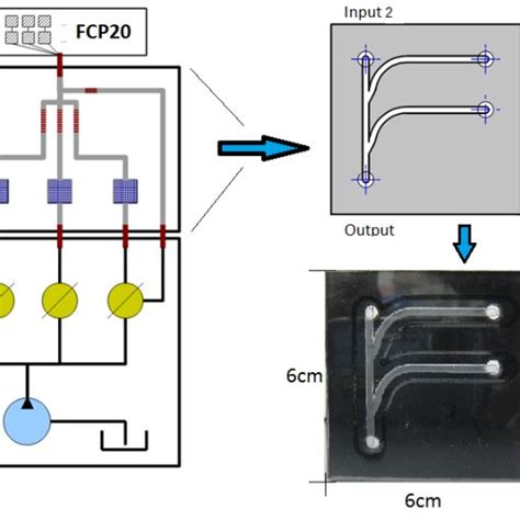 Individual Steps Of A CFD Calculation Left To Right For The Reagents Download Scientific