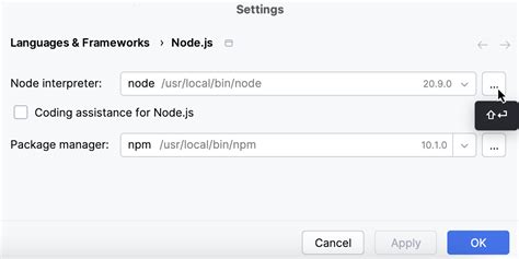 Configuring Remote Nodejs Interpreters Intellij Idea Documentation